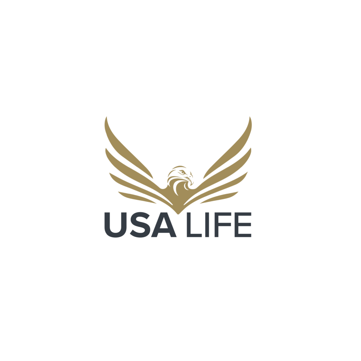 USA LIFE COMPANY – Central PA Chamber of Commerce